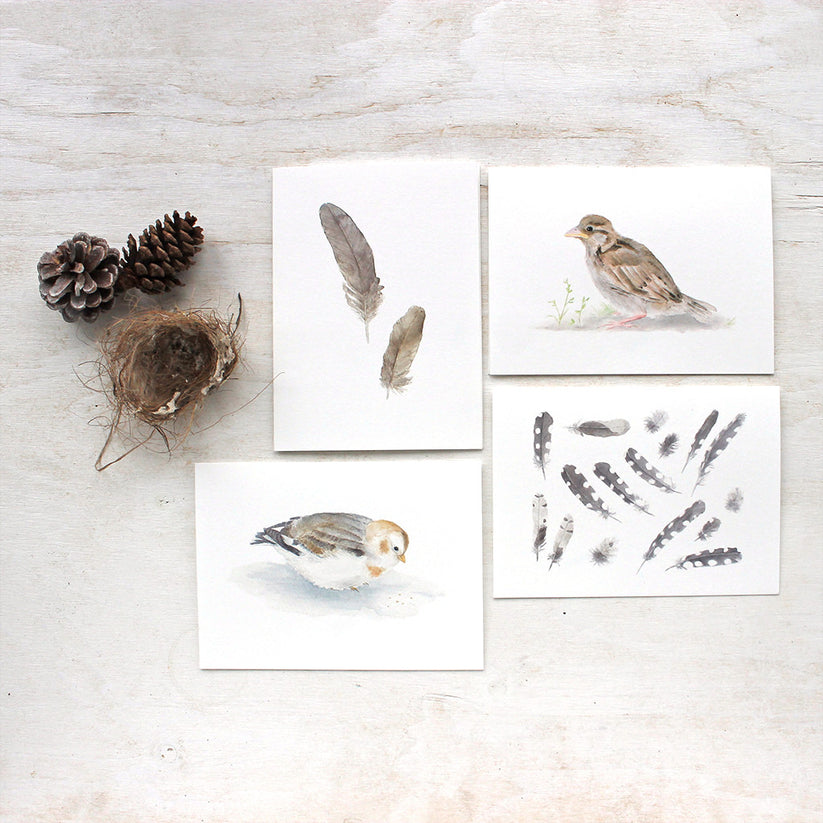 Bird Collection Note Cards - Set of 4 – Trowel and Paintbrush