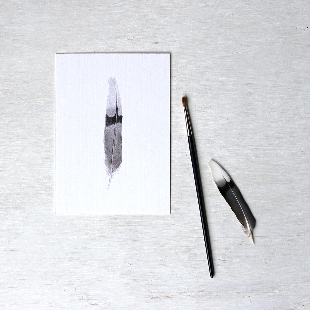 Mourning Dove Feather Art Print – Trowel and Paintbrush