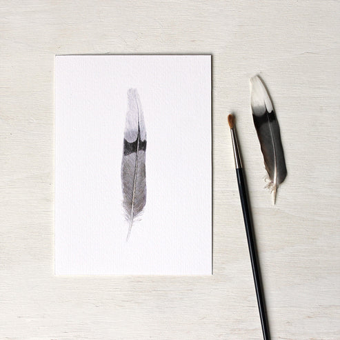 Mourning Dove Feather Art Print – Trowel and Paintbrush